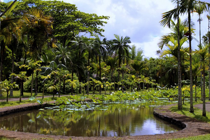 Discover the Botanical Garden at Pamplemousse
